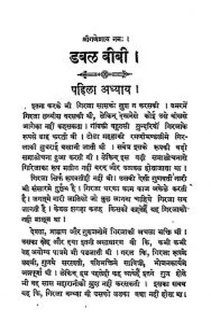 Book Cover for डबल बीबी - Dabal Bibi